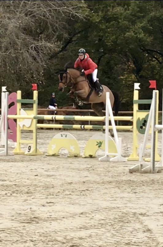 Sarah SAUVAT - Cheval référence